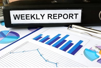 Weekly Market Report -27th December, 2024 - Investadvocate