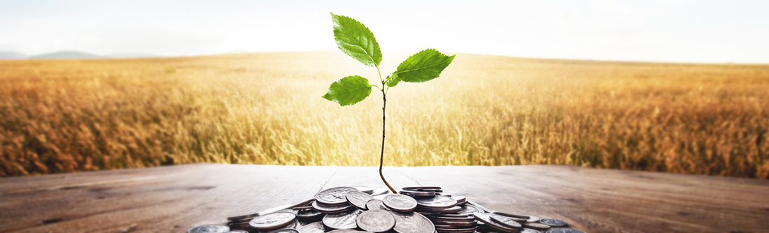 7 Things You Need to Know About SDR Allocations - Investadvocate