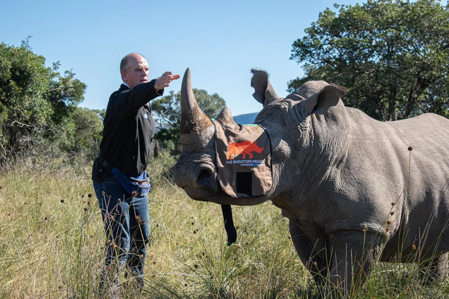 Nuclear Science Utilized to Protect the African Rhino - Investadvocate