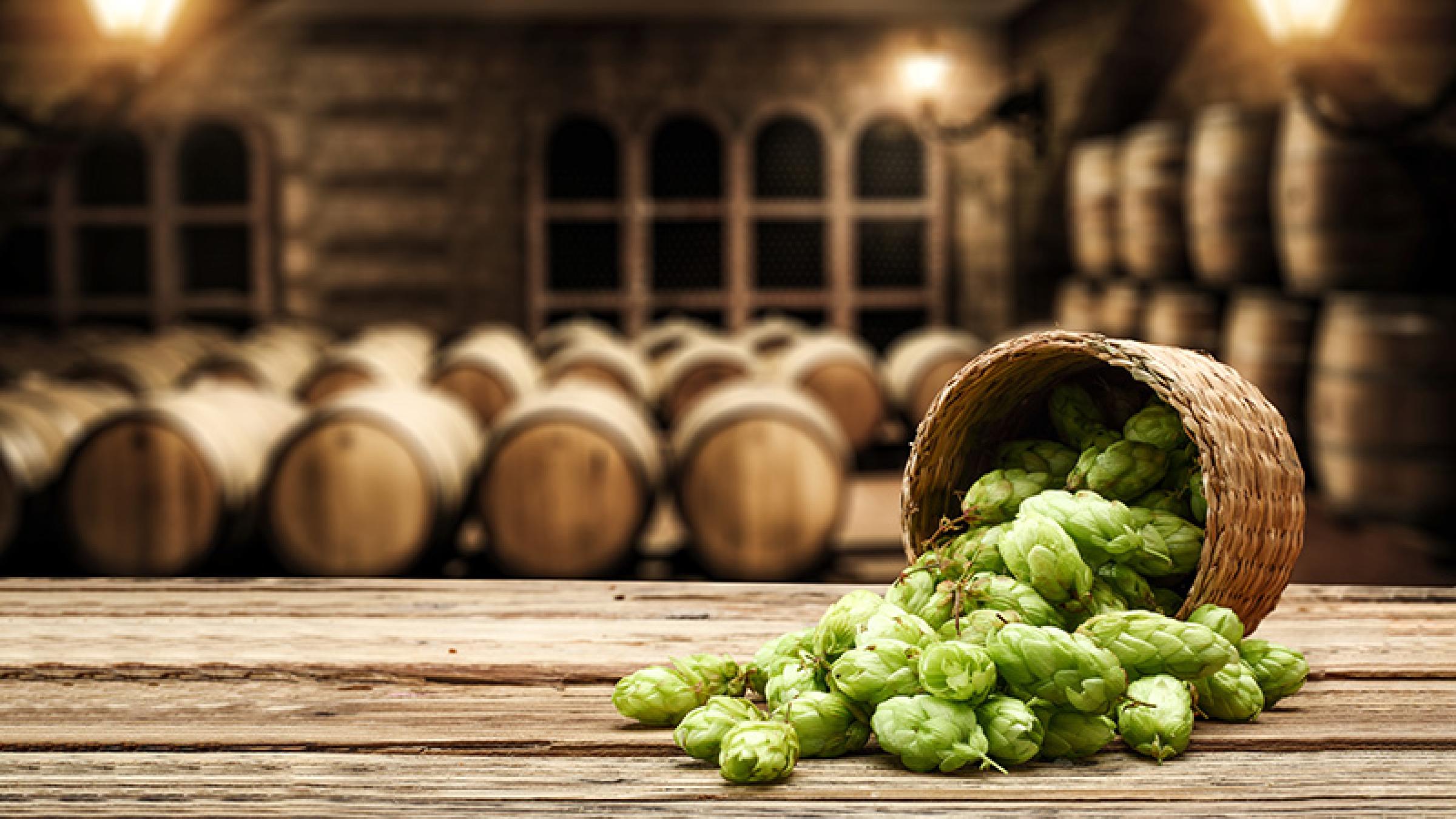 FAS Helps Brew Up Business for U.S. Hops Industry - Investadvocate