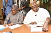Dangote Expects Over $4bn Annual Forex Earnings from Fertiliser Exports ...
